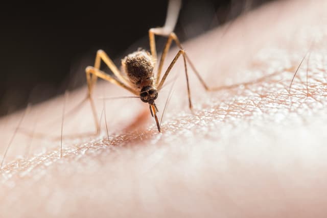 Signes d'infection : comment reconnaître une infection...