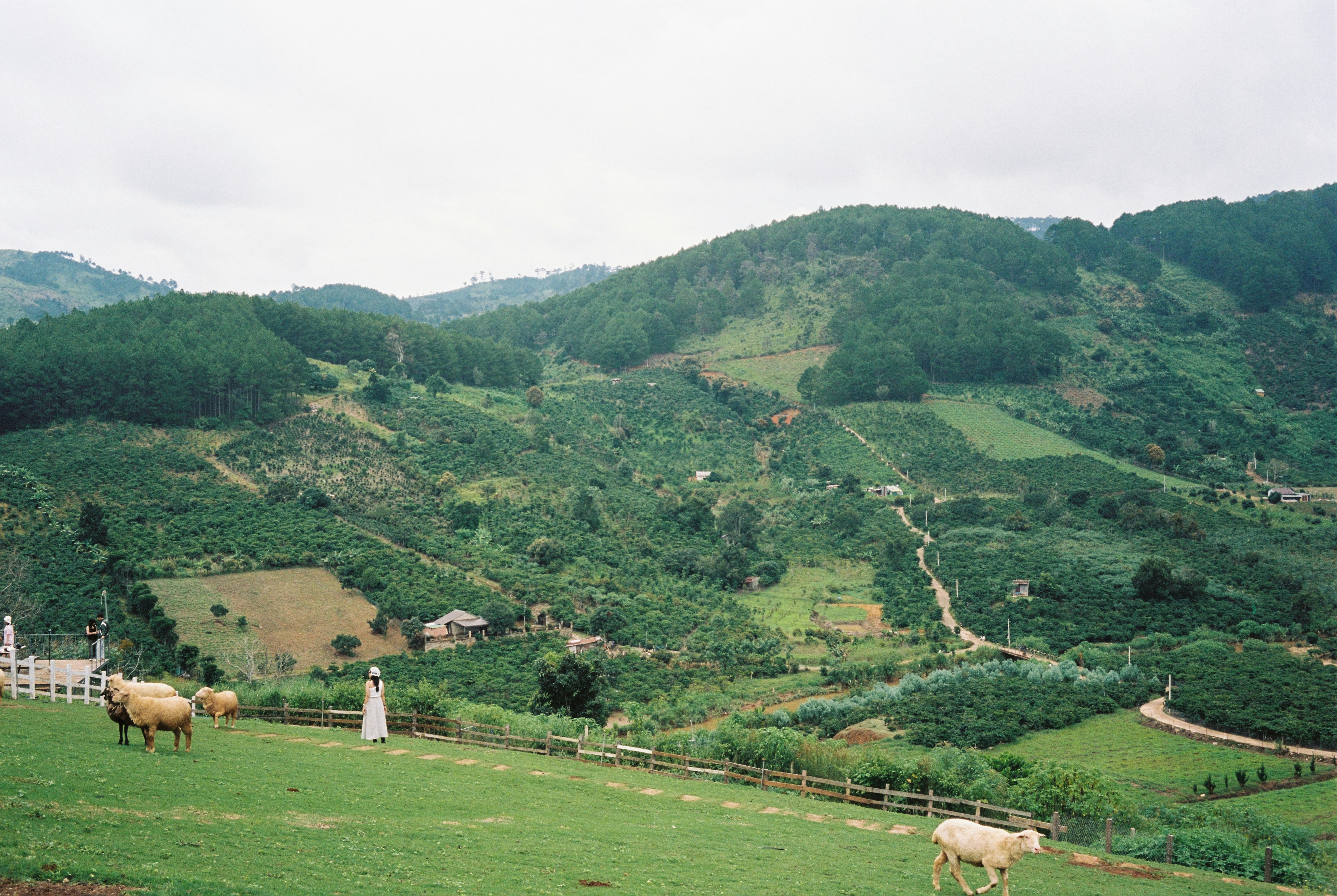 Accès soins zones rurales Afrique : solutions 2025